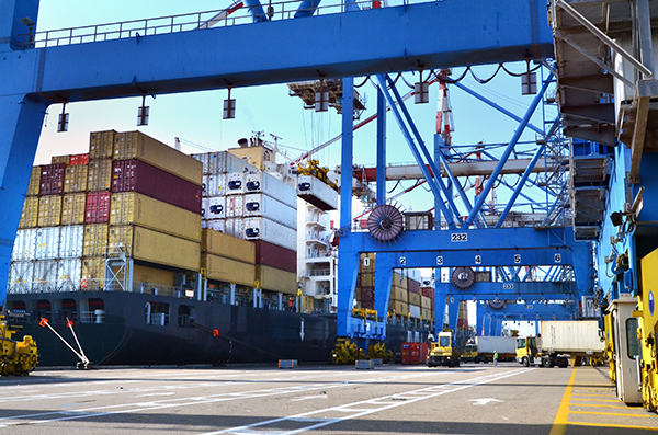 Vanguard_shipping_100403269-2_02